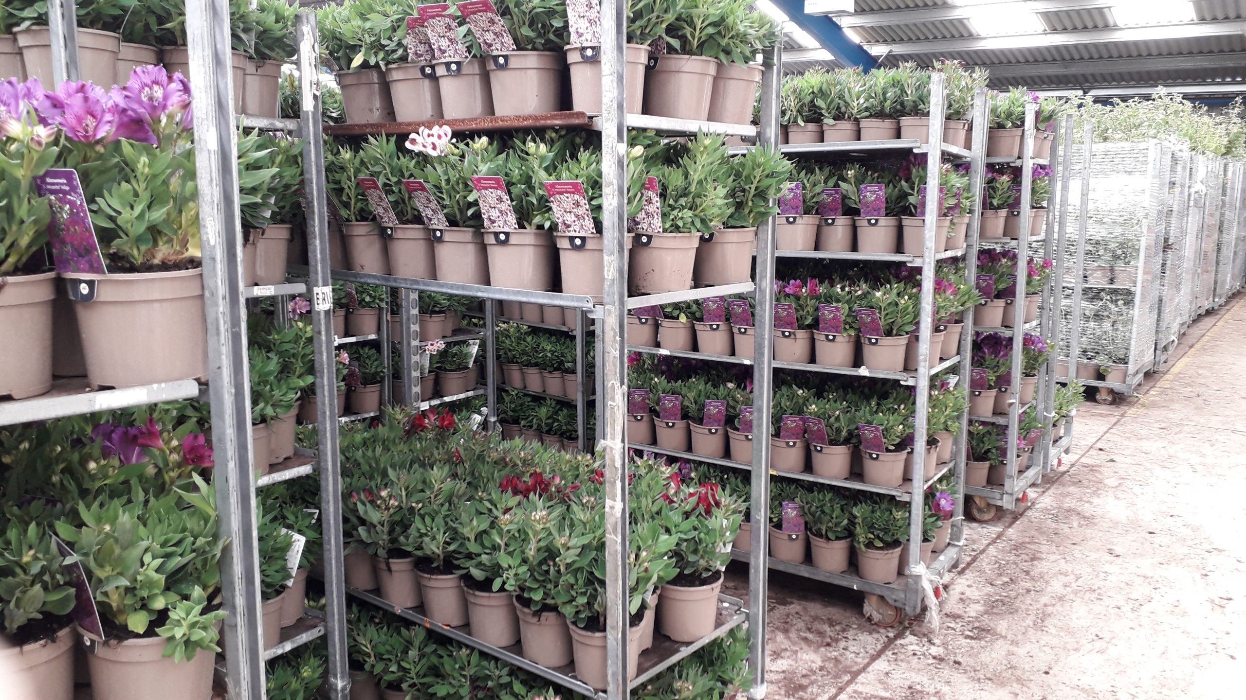 RECOUP | Plastic Plant Pots –Give Them a Break!