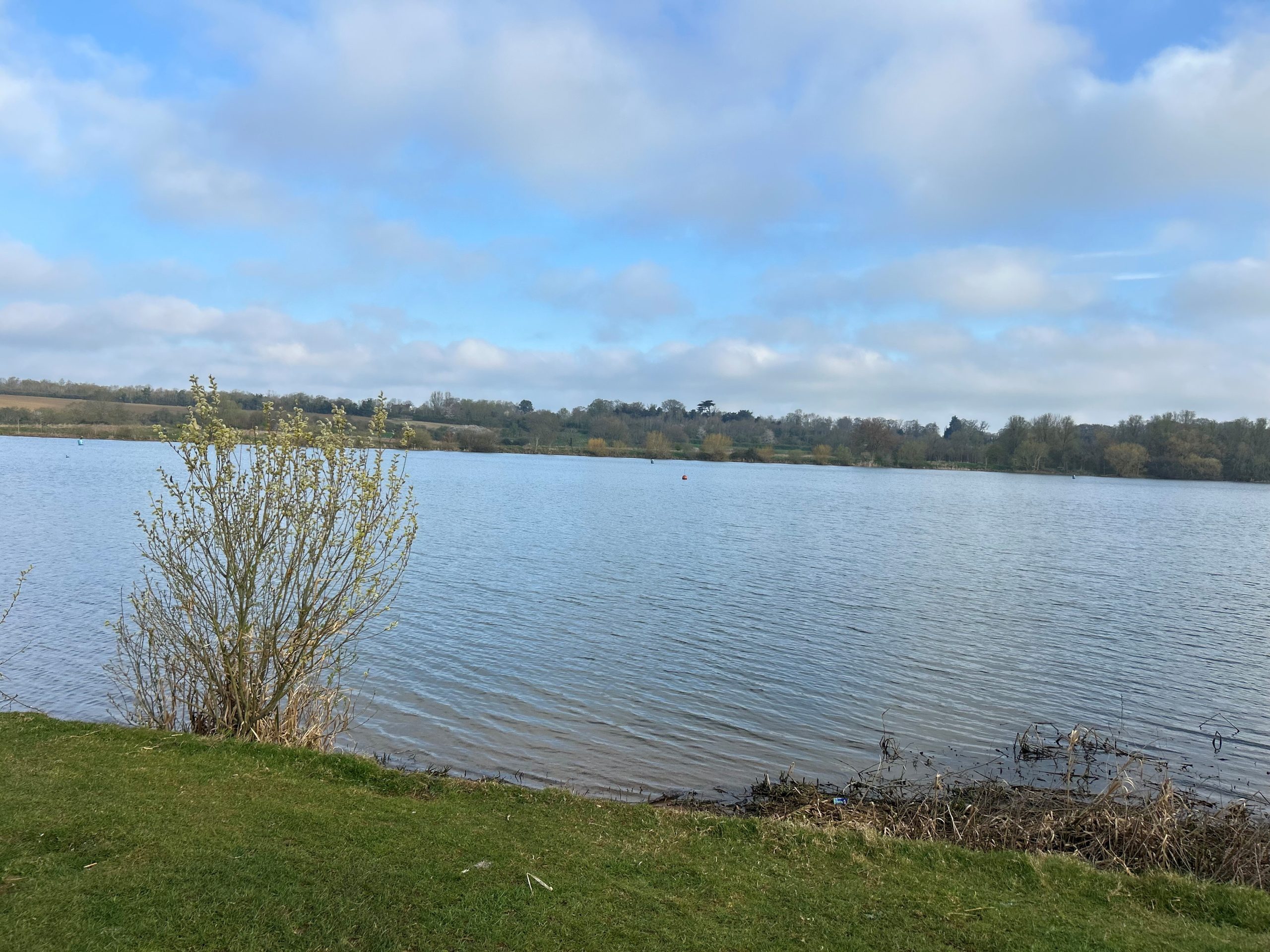 RECOUP | This Week the RECOUP Team Enjoyed a Sunny Team Day!